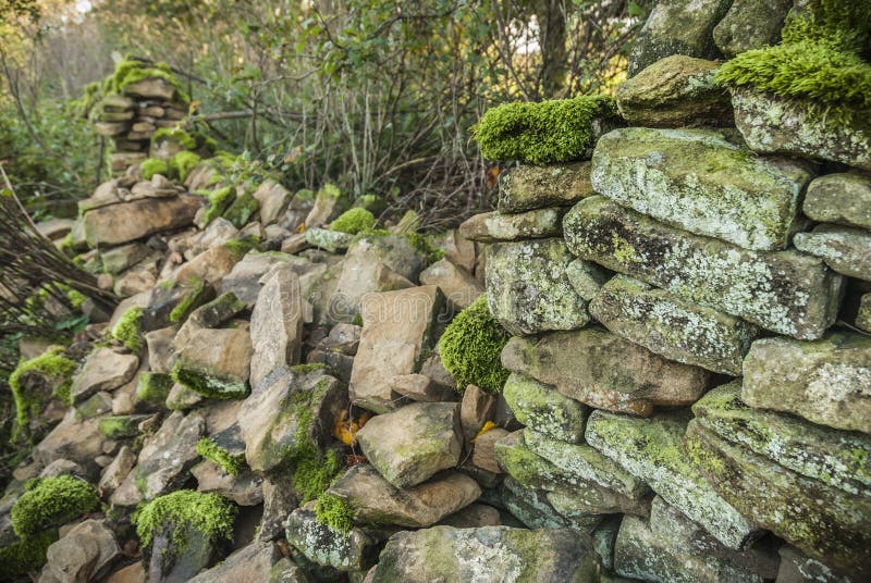 Broken Stone Wall stock image. Image of tree, debris - 34770629