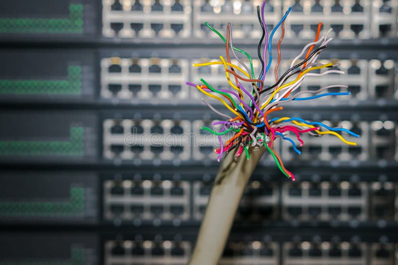 Broken Utp Ethernet Cable Stock Photos - Free & Royalty-Free Stock ...