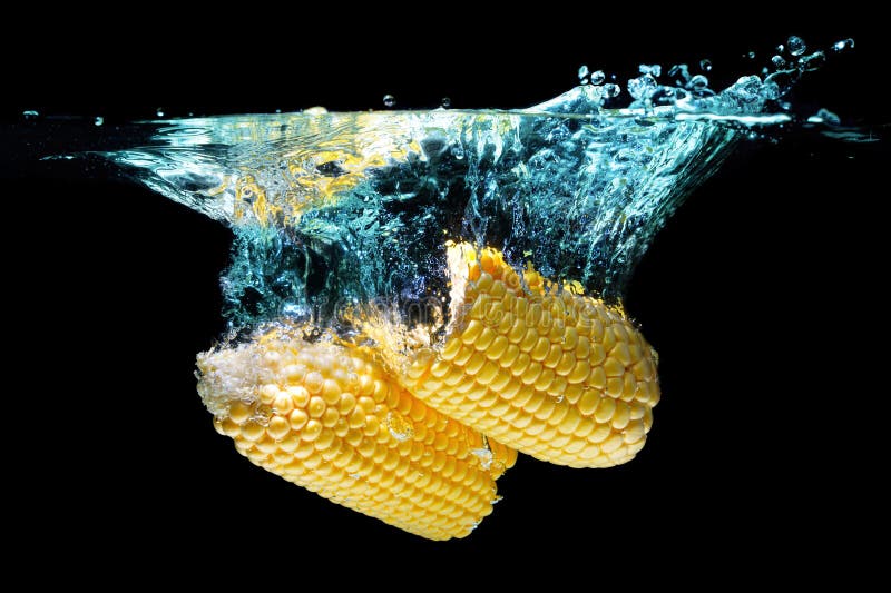 Husked Corn Cob Dropped in Water with Splashes Stock Image - Image of ...
