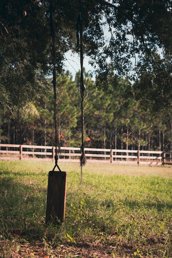 Broken Swing Hangs Under a Tree Stock Image - Image of pasture, swing ...