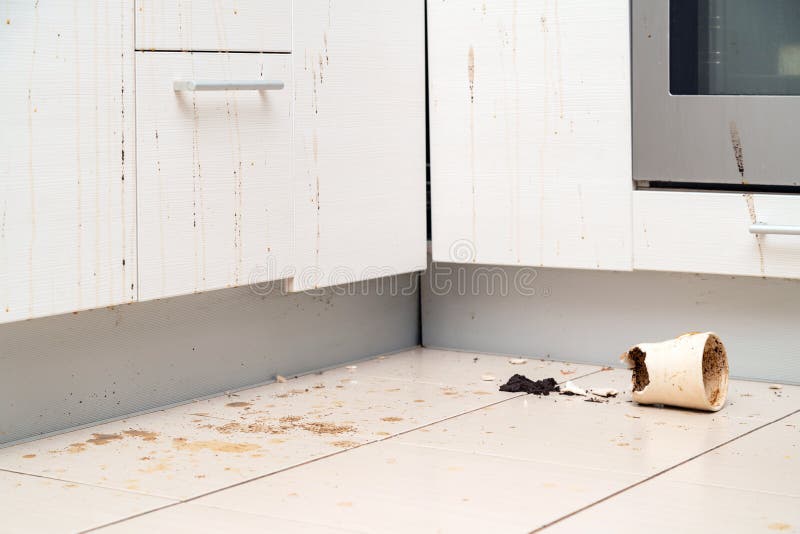 401 Smashed Cup Stock Photos - Free & Royalty-Free Stock Photos from ...