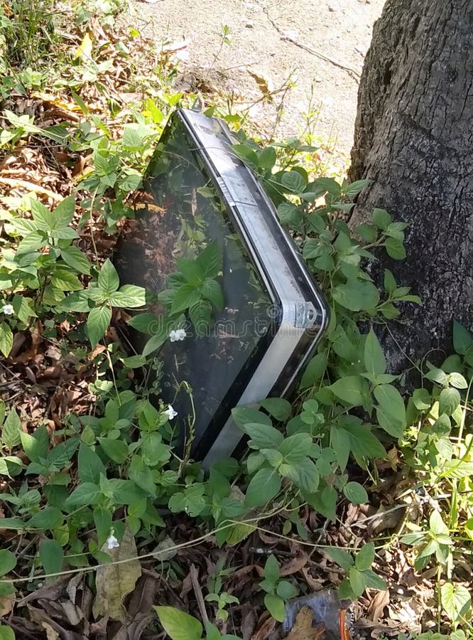 A Broken Television Screen Was Dumped by the Owner Under a Tree by the ...