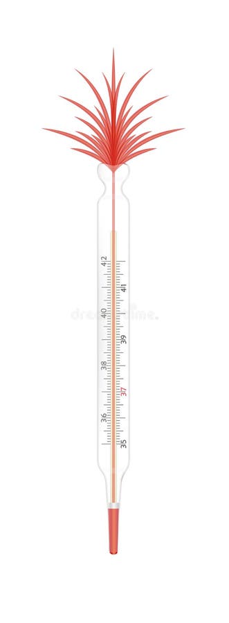 Broken Thermometer with Mercury Poured Out Stock Vector - Illustration ...