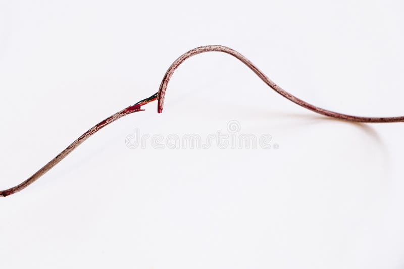 Broken Torn Wire on White Background. Stock Photo - Image of network ...