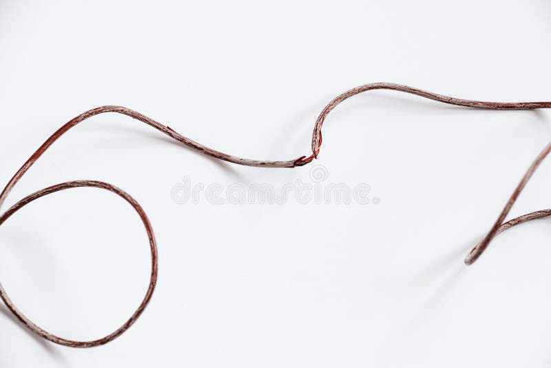 Broken Torn Wire on White Background. Stock Image - Image of broken ...