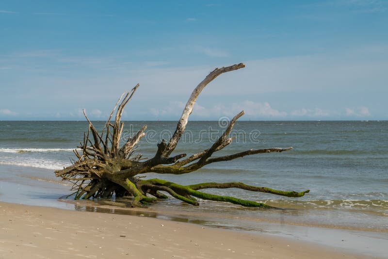 Shellisland Stock Photos - Free & Royalty-Free Stock Photos from Dreamstime