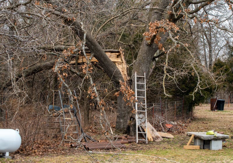 Broken Tree Branch Dangles Over Propane Tank Stock Photo - Image of ...