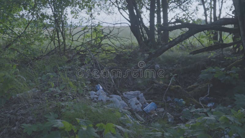 Broken Tree Branches Lay on Pile of Stones and Grass Stock Footage ...