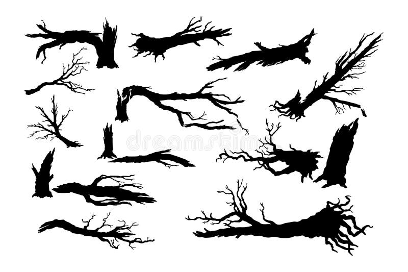 Broken Tree Isolated Silhouettes. Black Template of Destroyed Forest ...