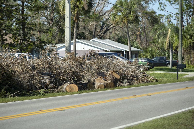 Broken Tree Limbs and Branches on Roadside from Hurricane Wind in ...