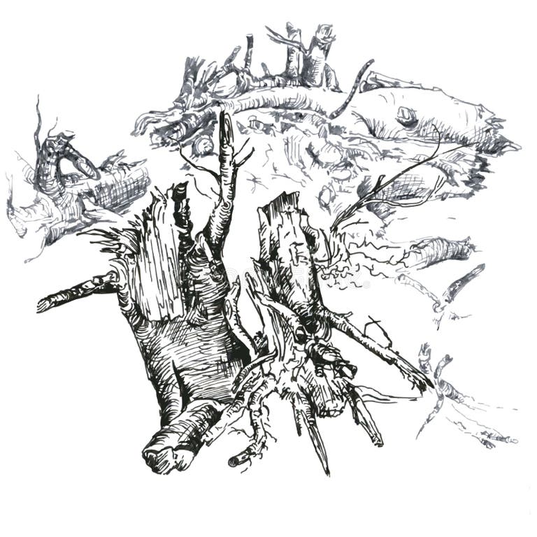 Old Tree Stump Line Art Stock Illustrations – 1,082 Old Tree Stump Line ...
