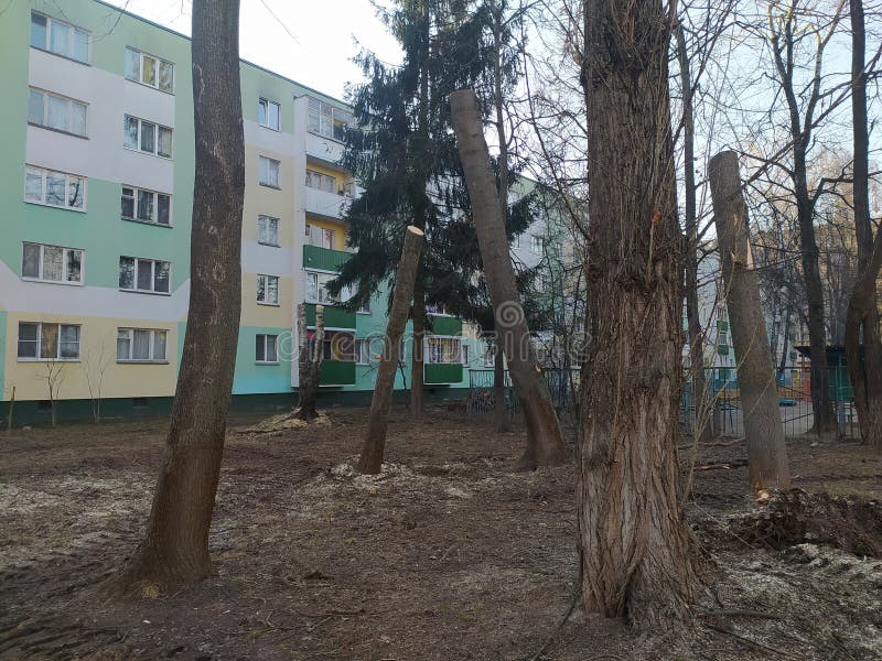 Broken Tree Yard Multi Storey Building City Stock Photos - Free ...