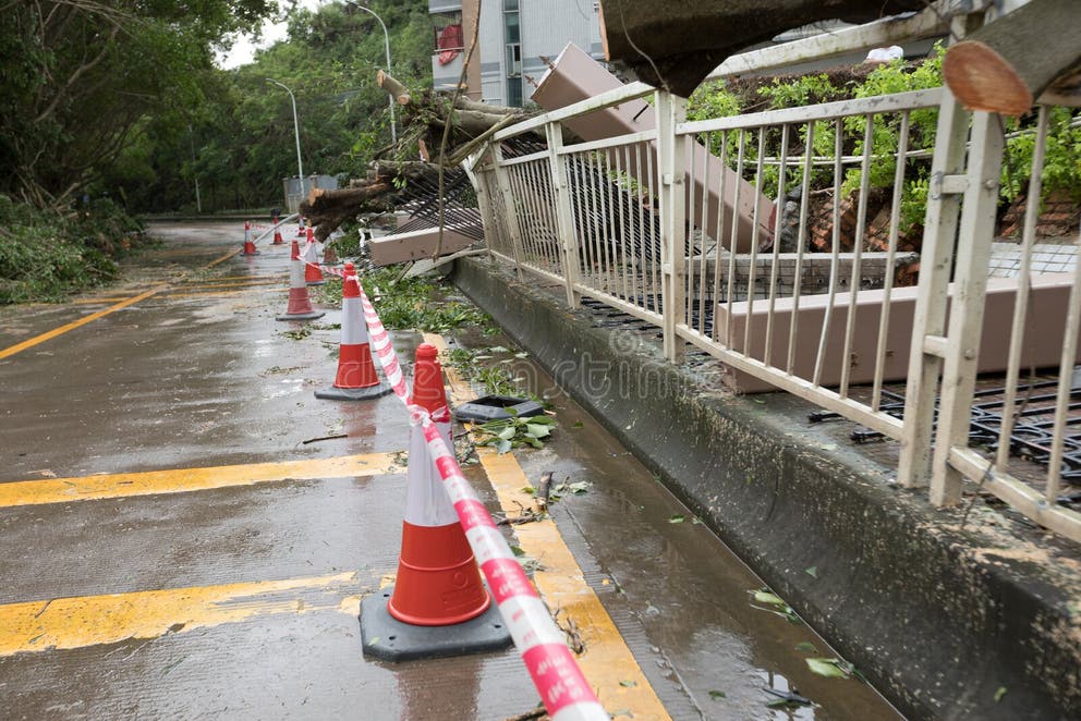 Broken trees fall down stock photo. Image of empty, asian - 132817240