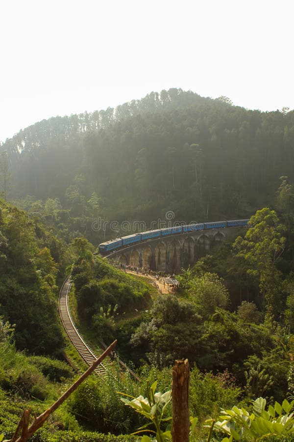 Broken Trees on the Foreground, Aerial Image of the Train Passing ...