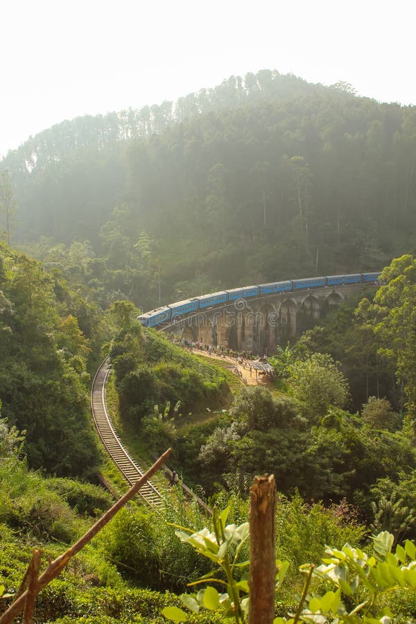 Broken Trees on the Foreground, Aerial Image of Train Passing Nine Arch ...