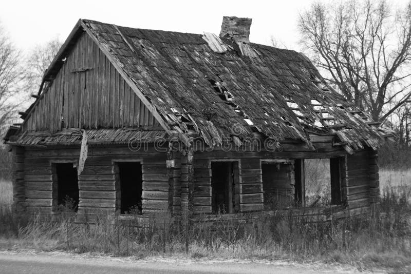 Broken trees forest stock photo. Image of flower, windows - 179525228