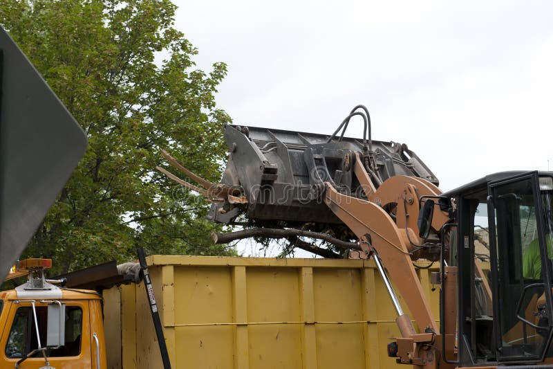 Broken Trees stock photo. Image of outdoors, truck, risk - 42905456