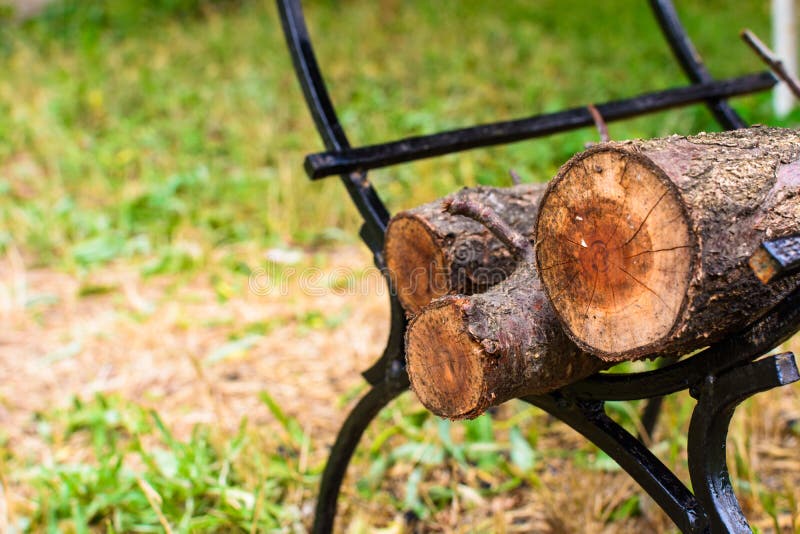 Broken Trunks of Trees on the Wood are Folded Under Barbecue Stock ...