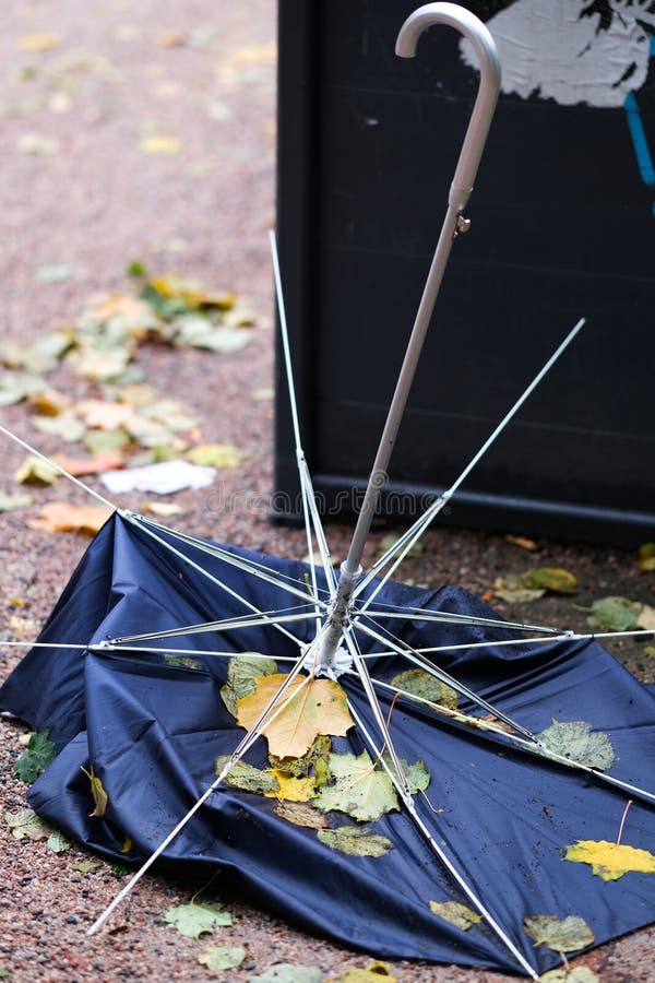 Broken umbrella stock image. Image of storm, leaves - 344565695