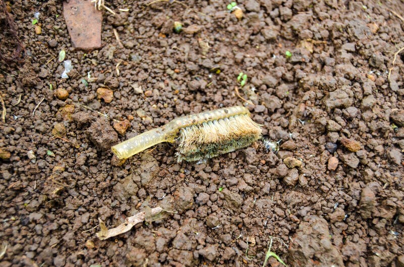 191 Broken Toothbrush Stock Photos - Free & Royalty-Free Stock Photos ...