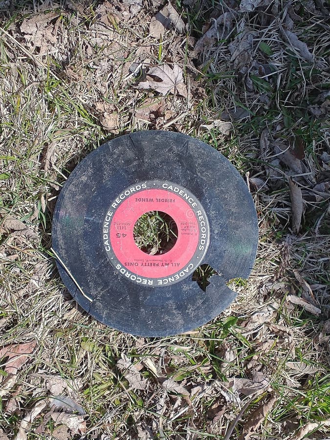 Broken Vinyl Record, Discarded on the Ground among Dead Leaves Stock ...
