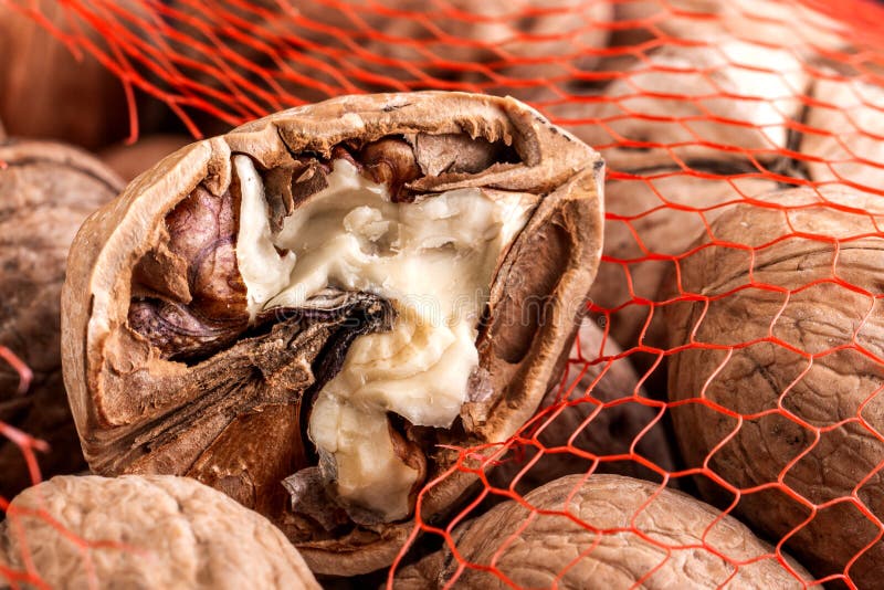 The Broken Walnut Turned Out To Be Rotten Inside. Shell Fragments Of ...