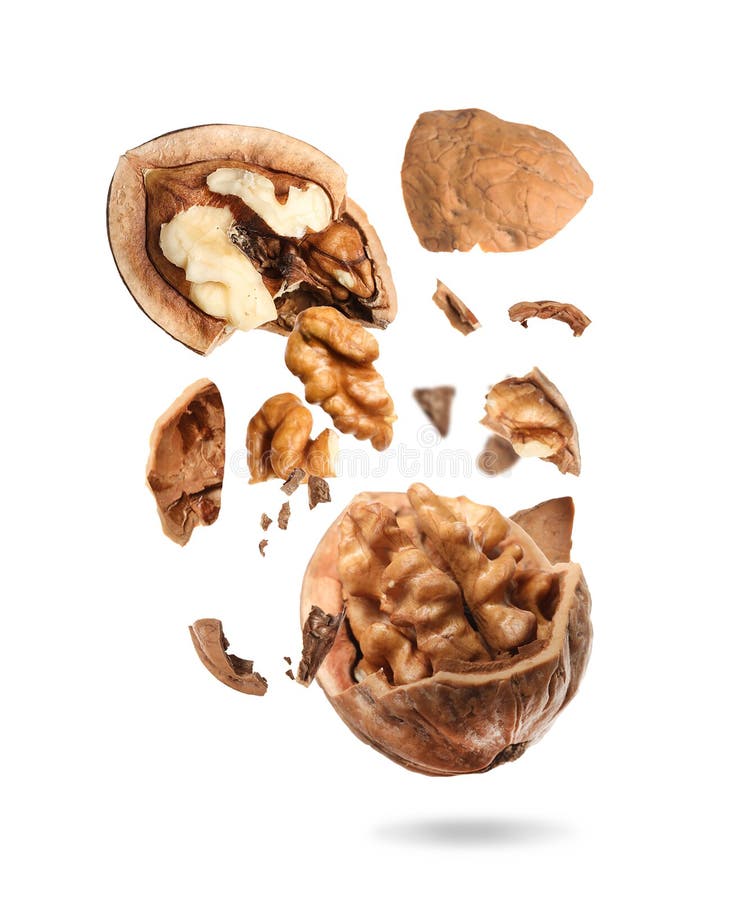 Broken Walnut and Pieces of Shell Flying on White Background Stock ...