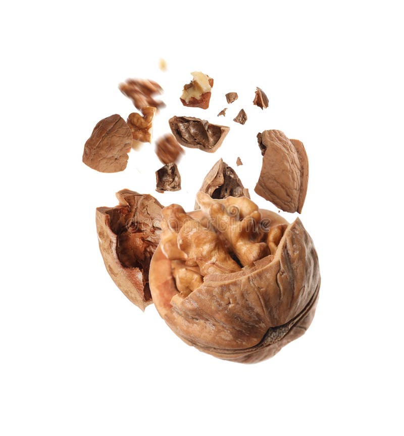 Broken Walnut and Pieces of Shell Flying on White Background Stock ...