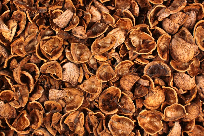 414 Walnut Waste Stock Photos - Free & Royalty-Free Stock Photos from ...