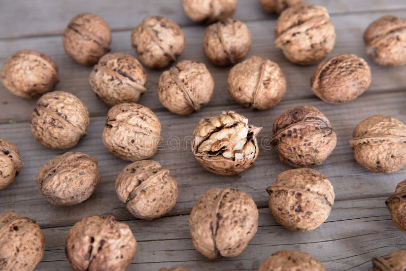 A Broken Walnut is Surrounded by a Bunch of Whole Walnuts Stock Photo ...
