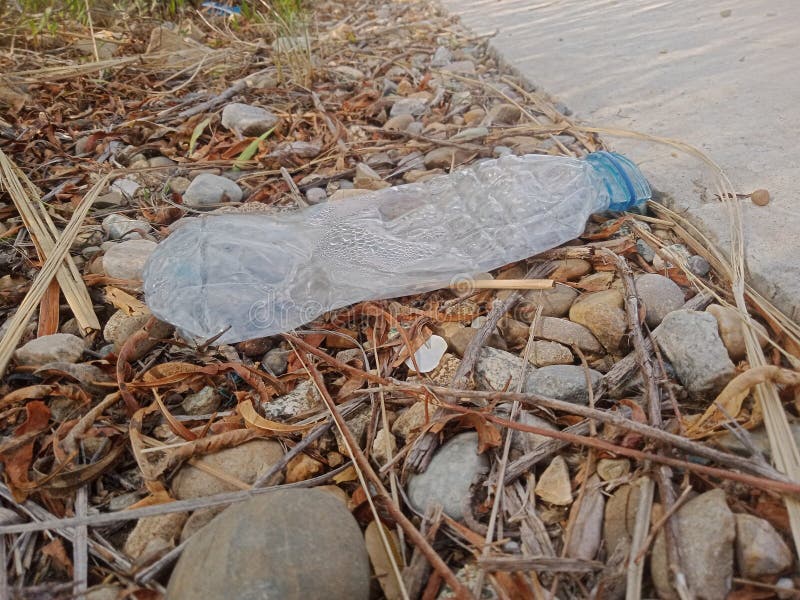 Reshot Stock Photos - Free & Royalty-Free Stock Photos from Dreamstime