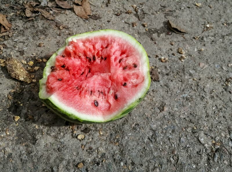 A Broken Watermelon on the Ground. Half a Ripe Watermelon Lies on the ...