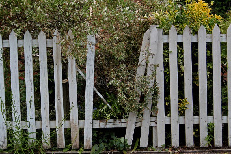 619 Broken Fencing Stock Photos - Free & Royalty-Free Stock Photos from ...