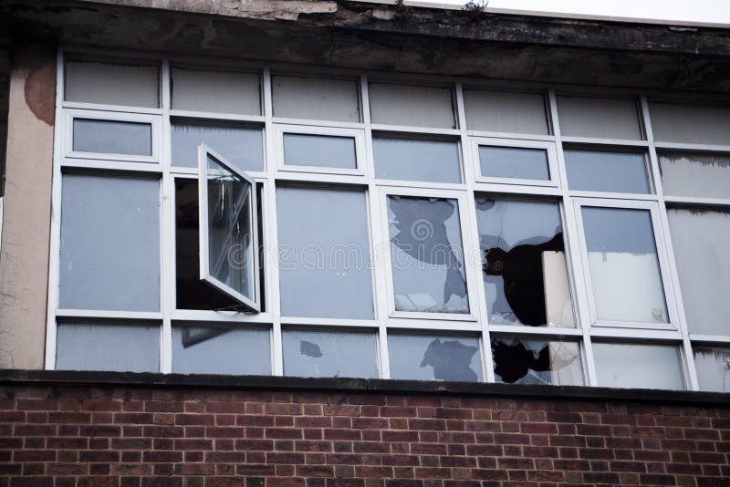 51 Chipped Windshield Photos - Free & Royalty-Free Stock Photos from ...