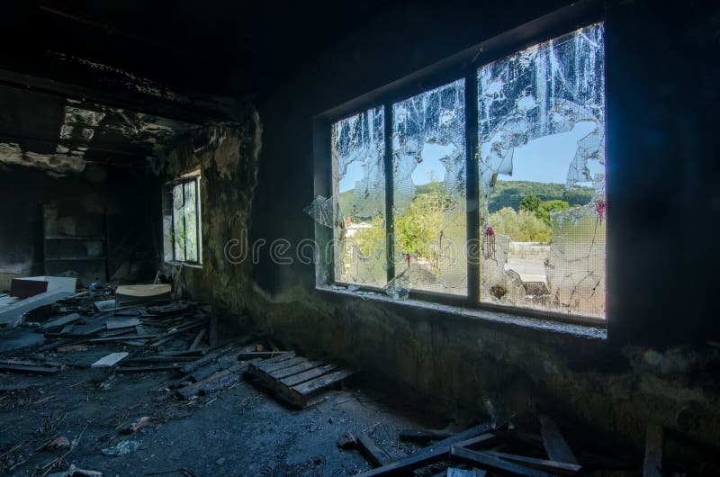 Window in Factory with Plants Stock Photo - Image of house, danger ...