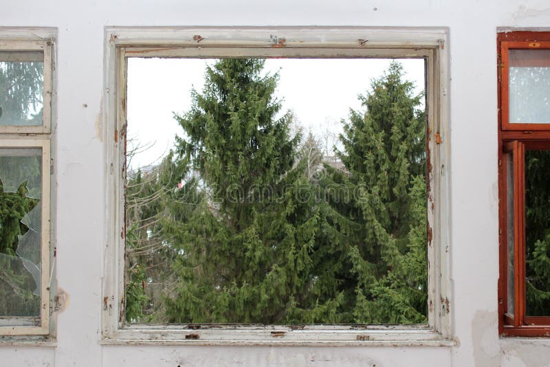 Broken Window Frame with Missing Glass and Pine Trees in Background ...