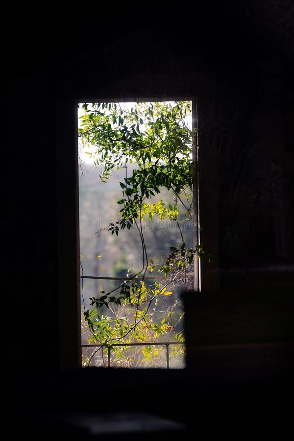 Broken Window Looking Out Back of Building. 1 Stock Photo - Image of ...