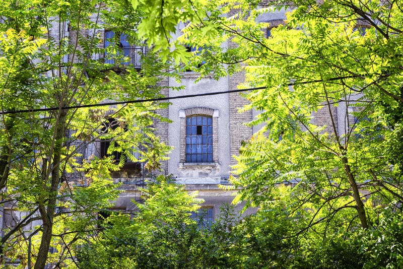 Eco building stock photo. Image of ecological, garden - 57615554