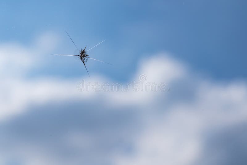 Broken Windshield of a Car. a Web of Radial Splits, Cracks on the ...