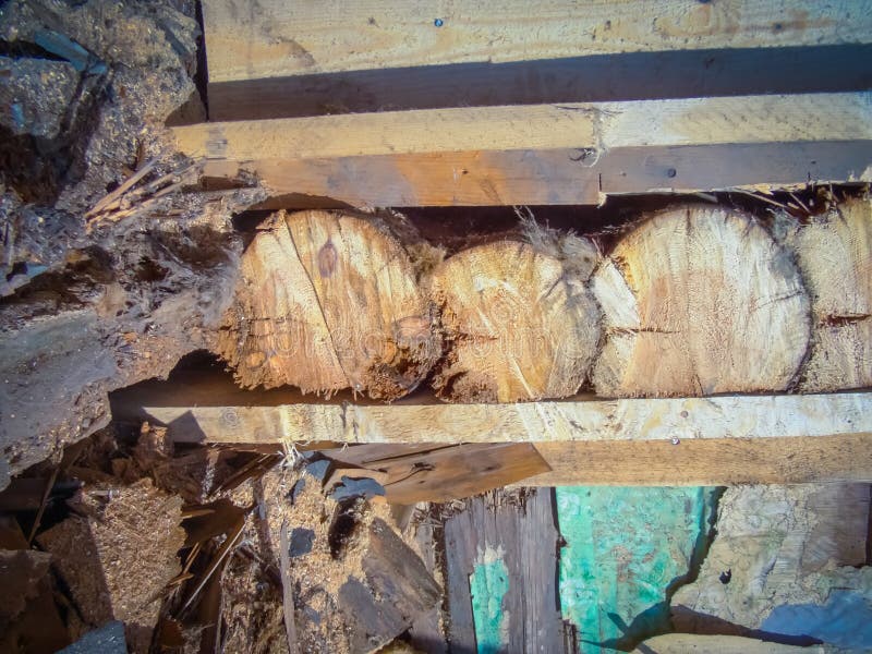 Broken Wood House stock photo. Image of wooden, debris - 107647794
