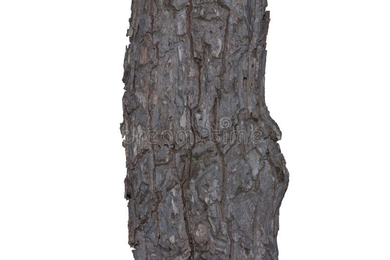 Broken wood texture stock image. Image of natural, aged - 164694785