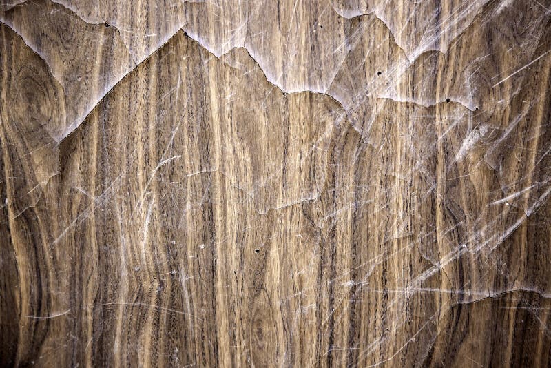 Broken wood texture stock photo. Image of pattern, wallpaper - 195008078
