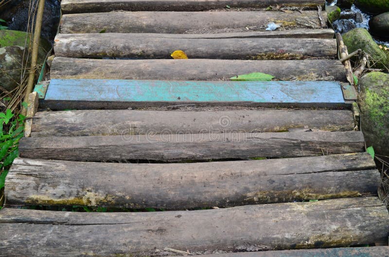 Broken Wooden Bridge in the Forest Stock Photo - Image of danger, tree ...