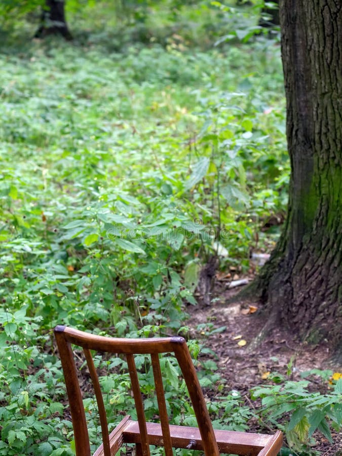 Broken Wooden Chair in the Woods Stock Image - Image of concept ...