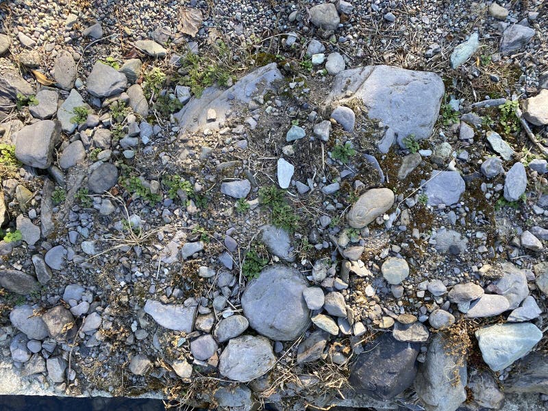 2,113 Path Rocks Soil Stock Photos - Free & Royalty-Free Stock Photos ...