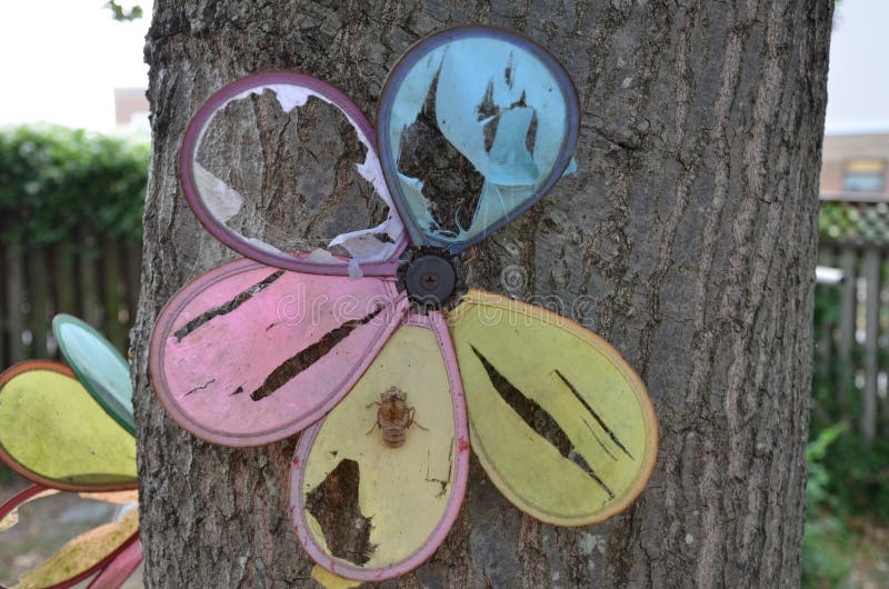 Broken or Worn Pinwheel with Cicada Skin on Tree Stock Photo - Image of ...