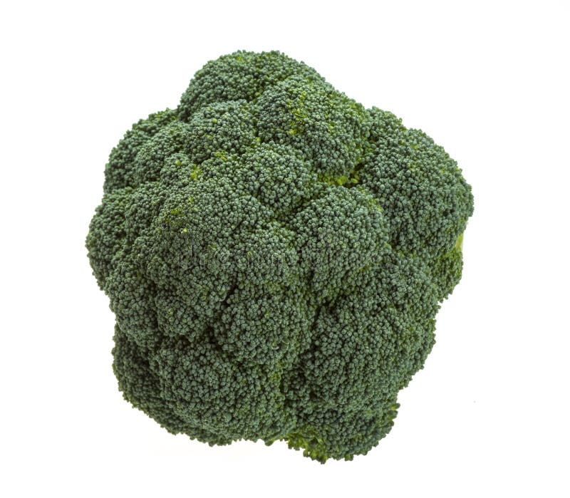 Brokoli stock image. Image of grocery, tree, twig, market - 38203275