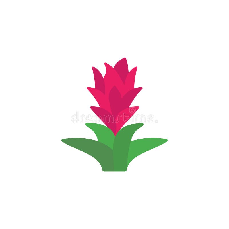 Bromeliad Leaf Icon Stock Illustrations – 39 Bromeliad Leaf Icon Stock ...