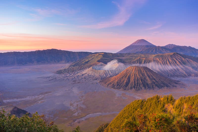 Bromo Volcano Mountain Landscape Stock Photo - Image of flower, sunrise ...