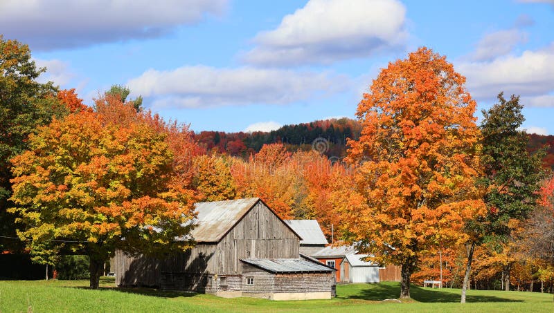 Old Barn in Fall Landscape Eastern Township Bromont Stock Photo - Image ...
